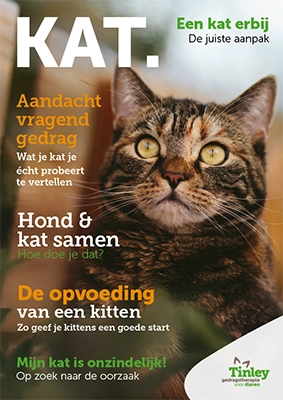 Tinley Magazine KAT - over kattengedrag - Tinley Gedragstherapie voor ...